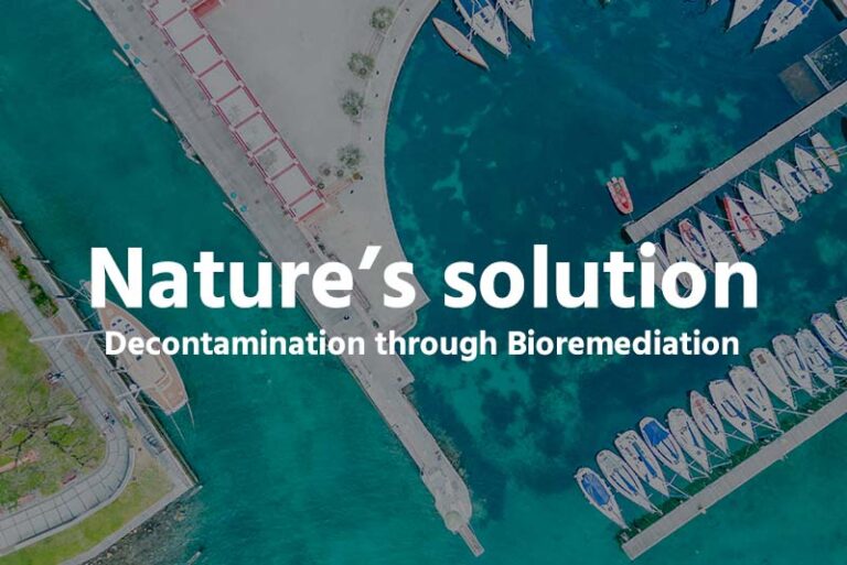 Hydrocarbon decontamination through Bioremediation - Biopulcher